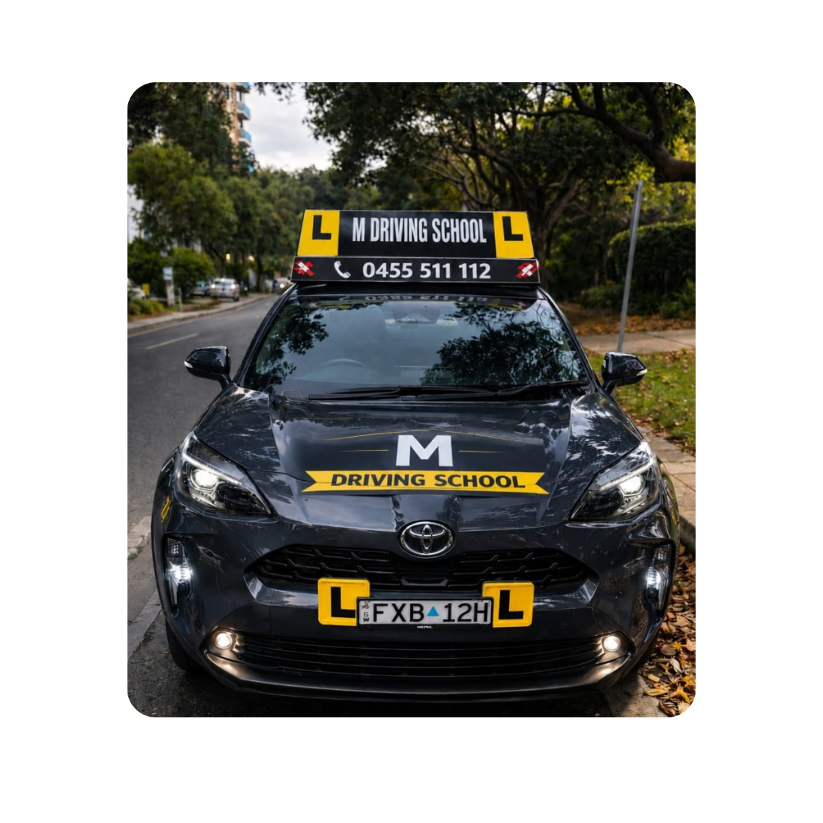 Home - MdrivingSchool